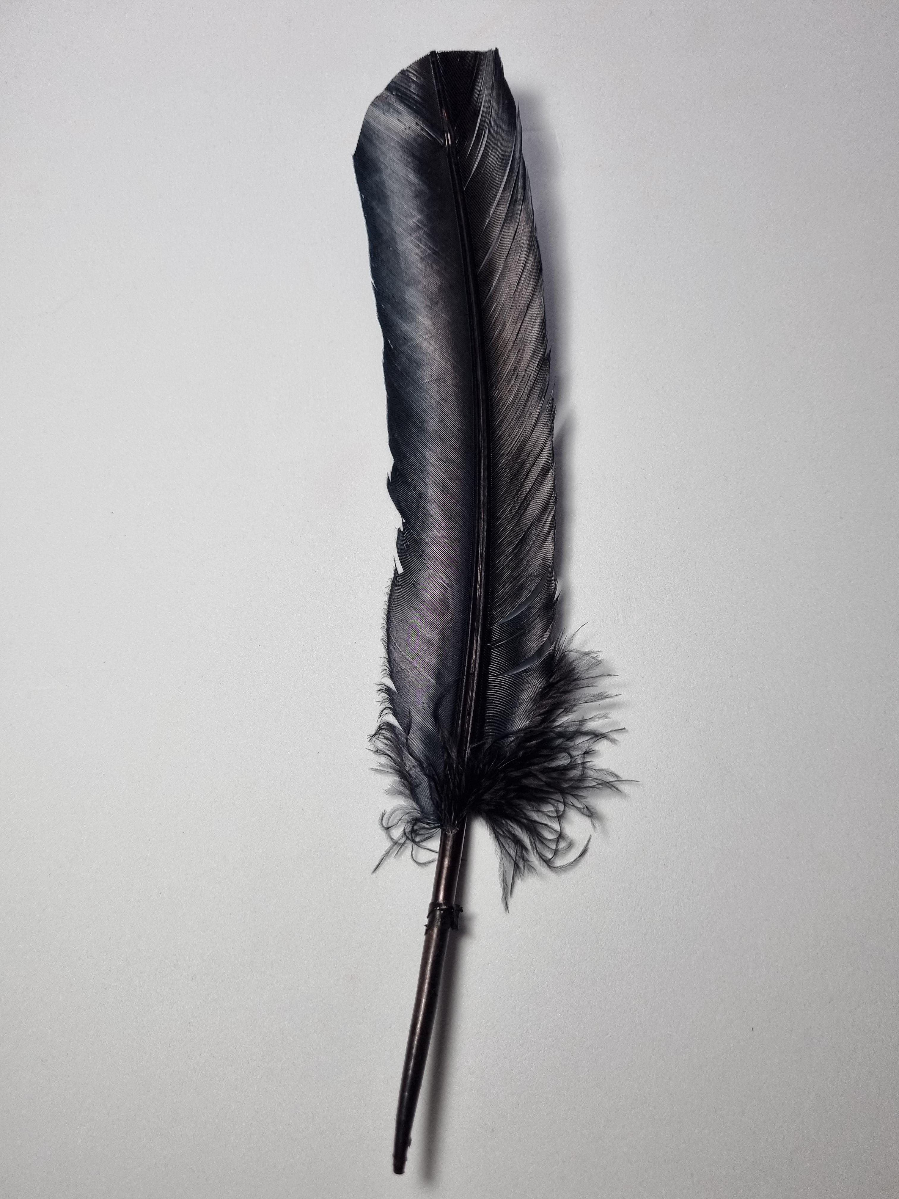 Pluma Negra y Pergamino para Rituales – Khaseli
